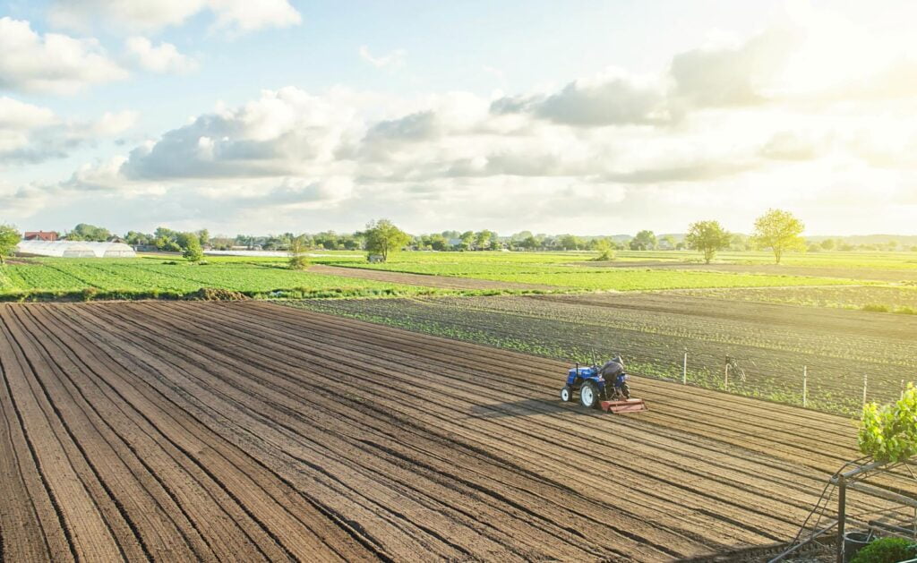 Co to jest i na czym polega rolnictwo plantacyjne? 📝 Blog Exparto